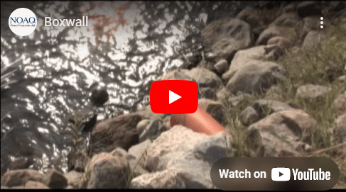 NOAQ Boxwall – Fosse Liquitrol